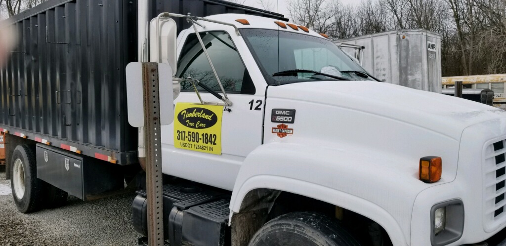 Timberland Tree Care Invites You to Check Out Our Brand New Website ...