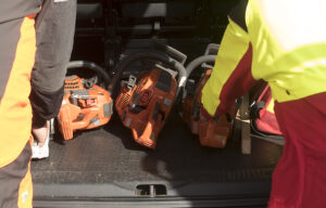 7 Reasons Why Professional Tree Care is Important | Timberland Tree Care