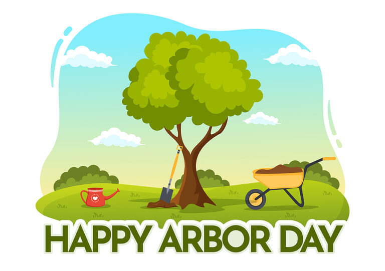 The Benefits of Planting Trees on Arbor Day | Timberland Tree Care